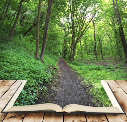 How to Tell a Story Through Landscape Photography | Matt Duke